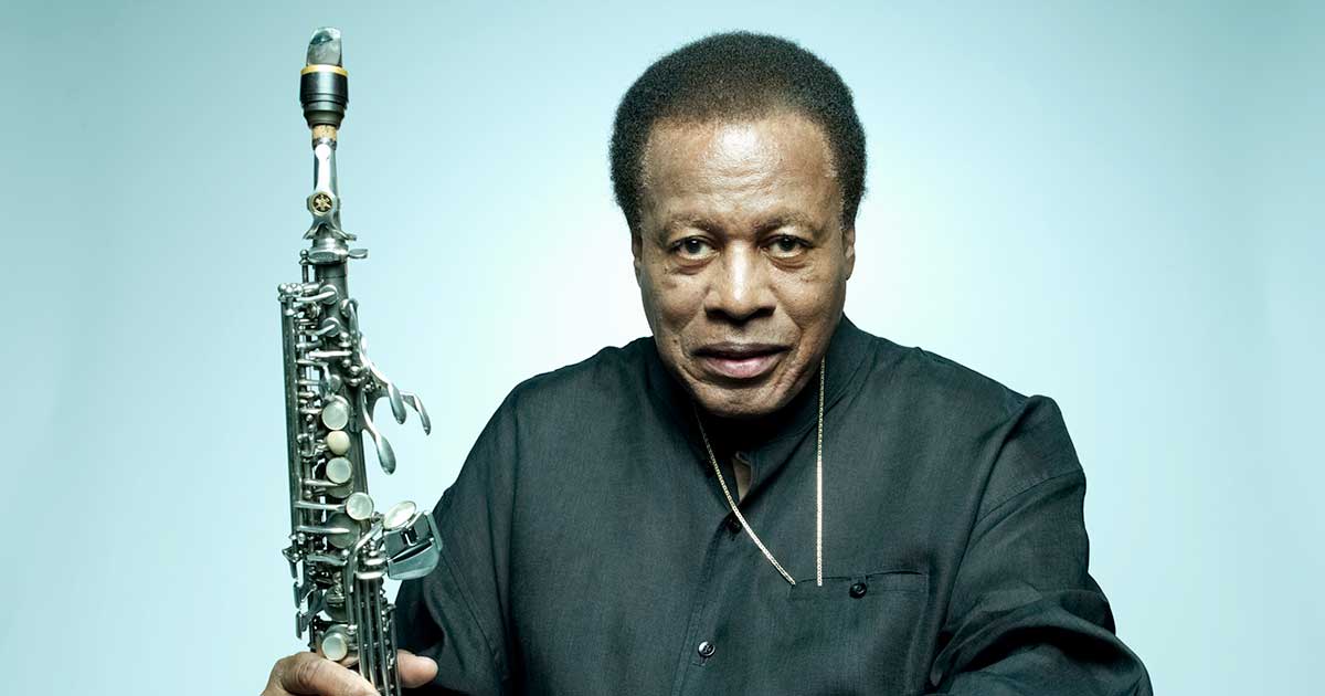Wayne Shorter: Celebrating the Legacy | Everything Jazz